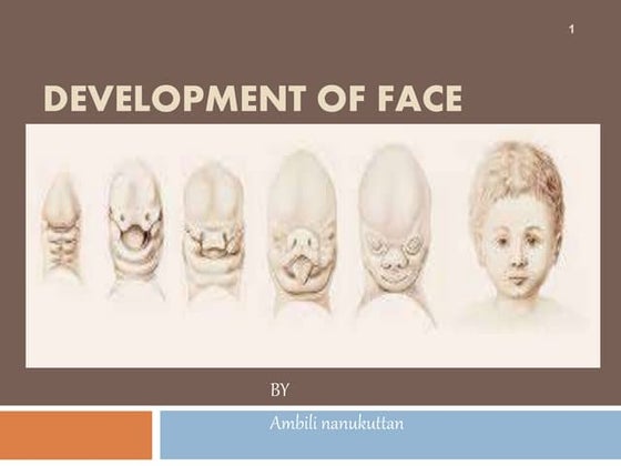 DEVELOPMENT OF FACE AND CONGENITAL MALFORMATIONS.ppt