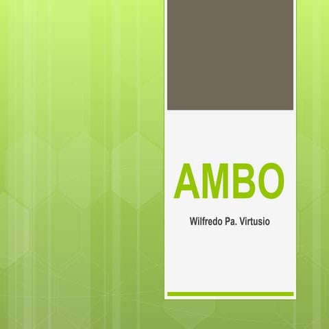 Ambo | PPTX