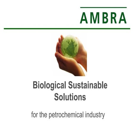 Ambra Solutions Petrochemical Industry | PPT