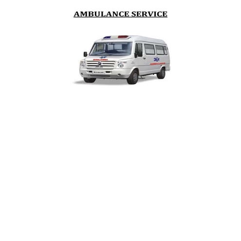Ambulance service | DOCX