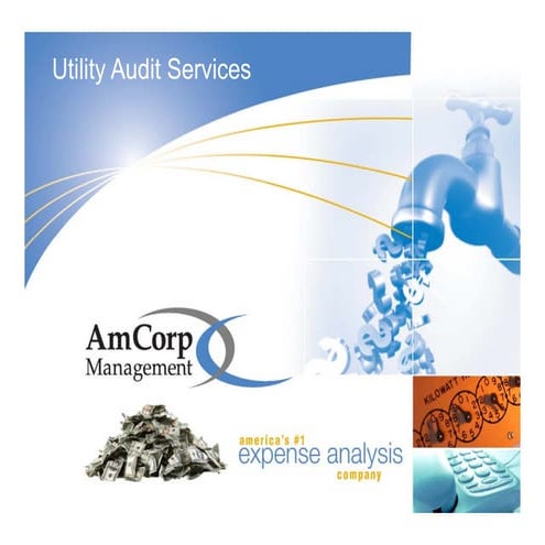 AmCorp Utility Audit | PDF