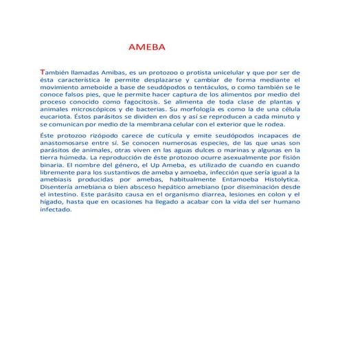 Ameba | DOCX