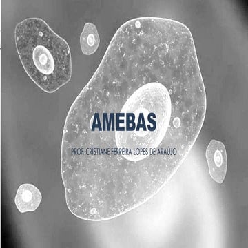 Amoeba ou ameba é um gênero de ameboides unicelulares da família ...