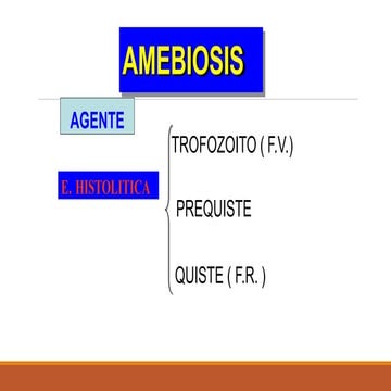AMEBIASIS.pptx