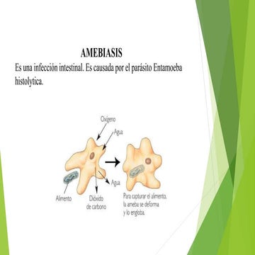 AMEBIASIS INTESTINAL_exposicion de bioestadistica.pptx