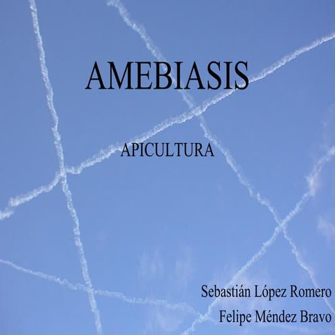 Amebiasis 2002 | PPT