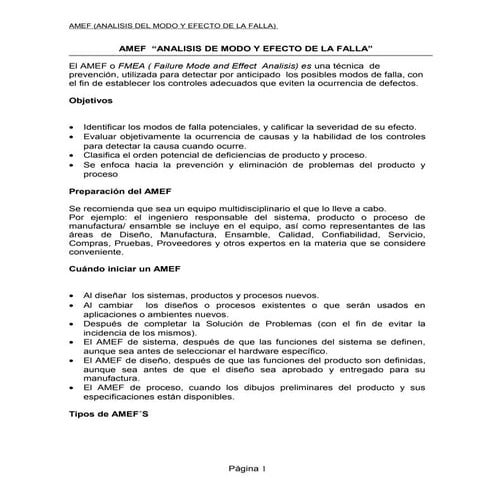 ejemplo AMEF.pdf