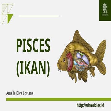 Pengenalan, Jenis Kelas, Karakteristik Animalia Pisces | PPTX
