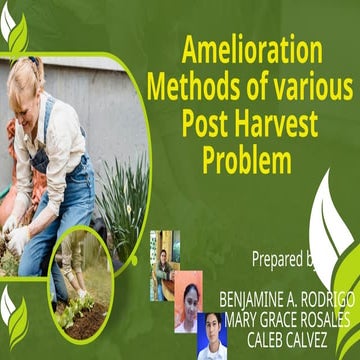 Amelioration methods of various post harvest problem.pptx