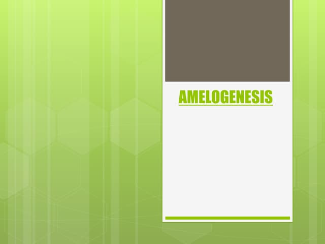 Amelogenesis Dr. Sherif Hassan | PPTX