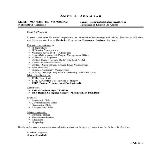 Amer abdallah Resume | DOCX