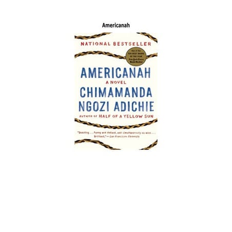 Americanah | PDF