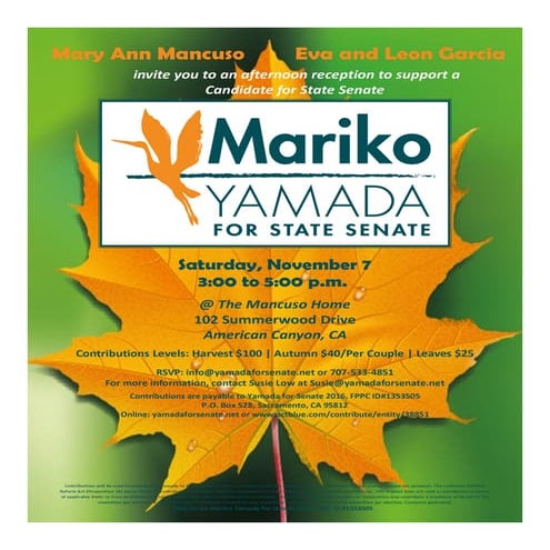 Flyer - State Senate Campaign | PDF