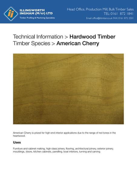 Timber | PPT