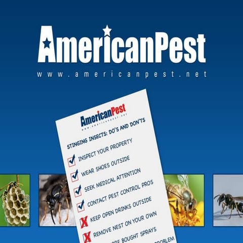 Stinging Insects Do's and Don'ts | PPT