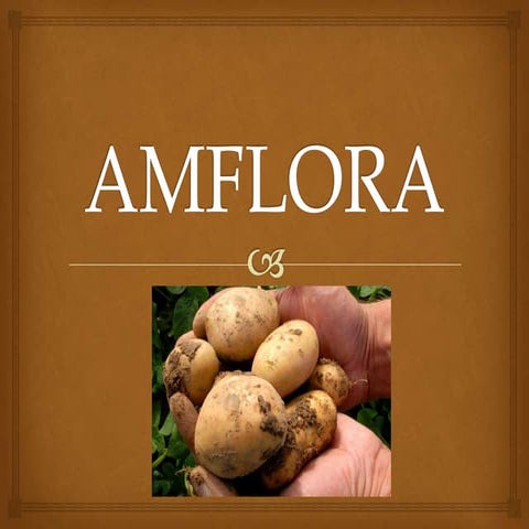 Amflora | PPTX