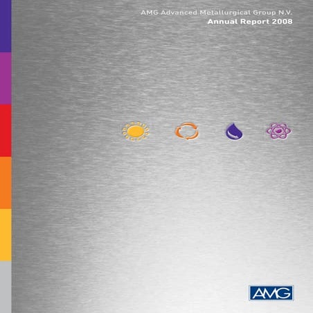 AMG 2008 Annual Report | PDF