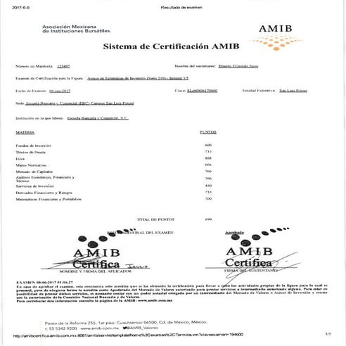 AMIB III | PDF