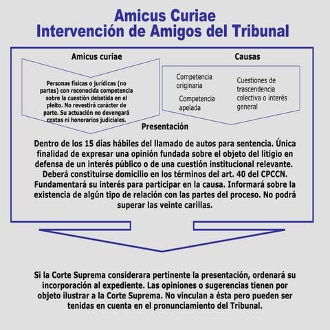 Amicus curiae 19jul04 | PPT