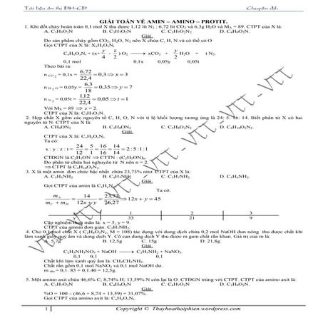 Amin co-loi-giai | PDF