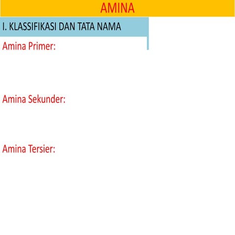 Amina | PPTX