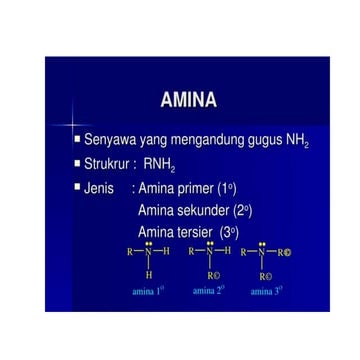 amina ppt.pptx