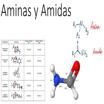 Amidas | PDF