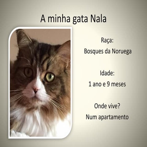 Acrósticos Nelson Mandela | PDF