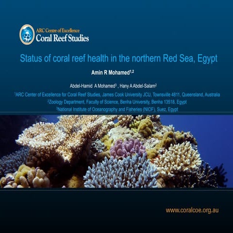 Coral diseases, coral bleaching and other health issues affecting Red ...