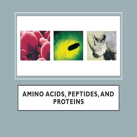 Amino-Acids-and-proteins.simplified-1.pptx