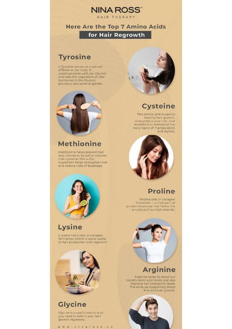 Top 7 Amino Acids For Hair Regrowth Pdf