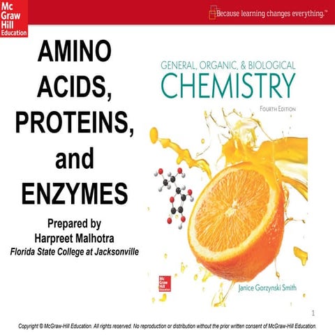 Comprehensive Overview of Amino Acids, Proteins, and Enzymes in Human ...