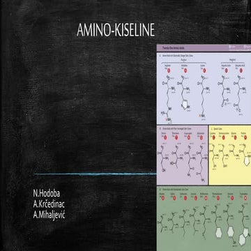 Amino kiseline | PPTX