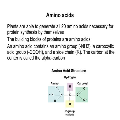 Amino acids and its different structures.ppt