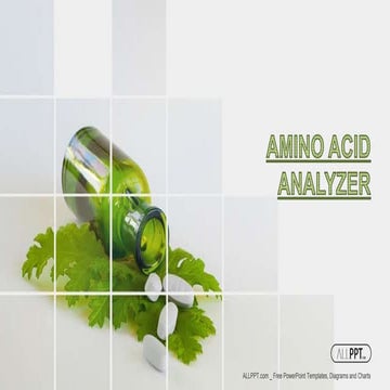 Amino acid Analyzer | PPTX