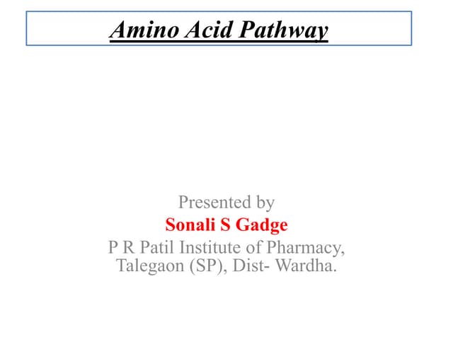 Amino acid pathway | PDF