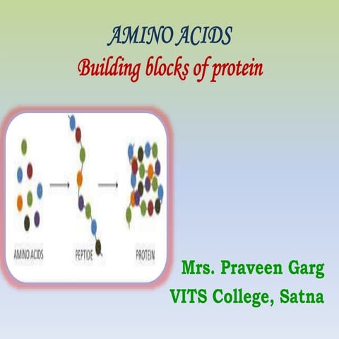 Amino acids | PPTX