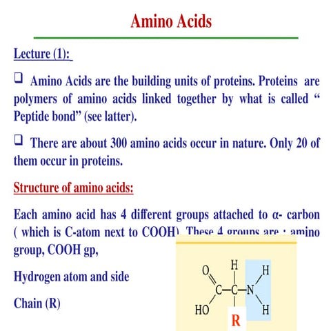 Amino acids and protein.ppt structure and function | PPT