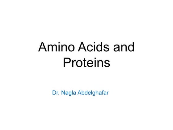 Lecture 1. Proteins.-1.doc