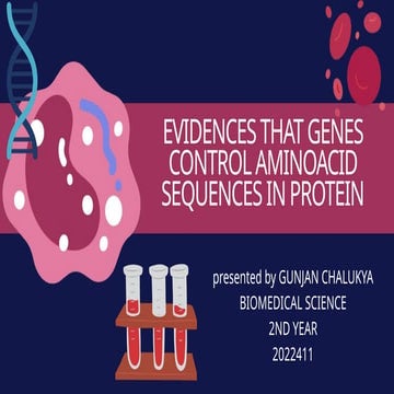 "Decoding Proteins: How Genes Shape Amino Acid Sequences and Influence ...