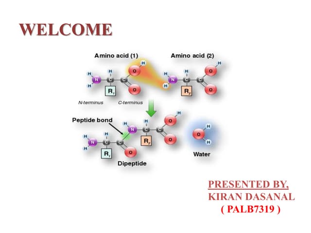 Biosynthesis of carbohydrates | PDF | Endocrine and Metabolic Diseases ...