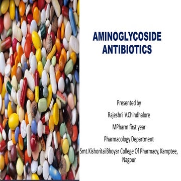 Aminoglycocides antibiotics | PDF