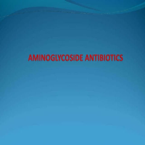 aminoglycosideppt-160110093602.pptx