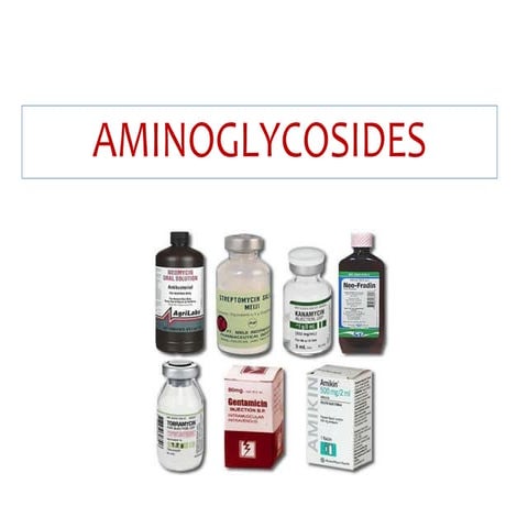 aminoglycosides-1.pptx