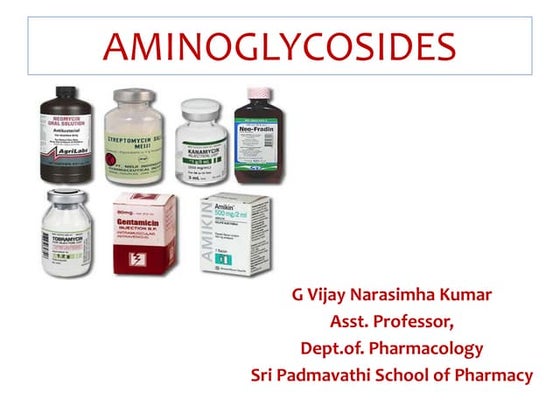Aminoglycosides | PPT