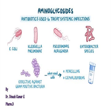 Aminoglycosides Antibiotics | PDF
