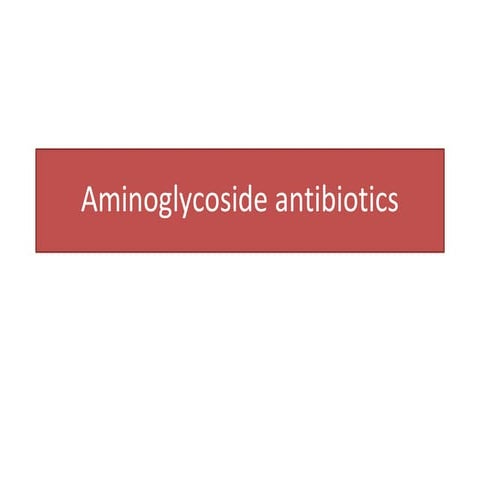 Aminoglycosides and Macrolides | PPTX