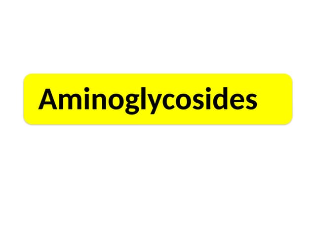 Aminoglycoside by sumit | PPTX