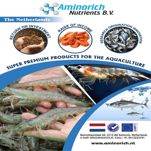 Aminorich aqua | PDF