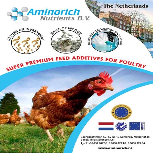 Aminorich poultry | PDF